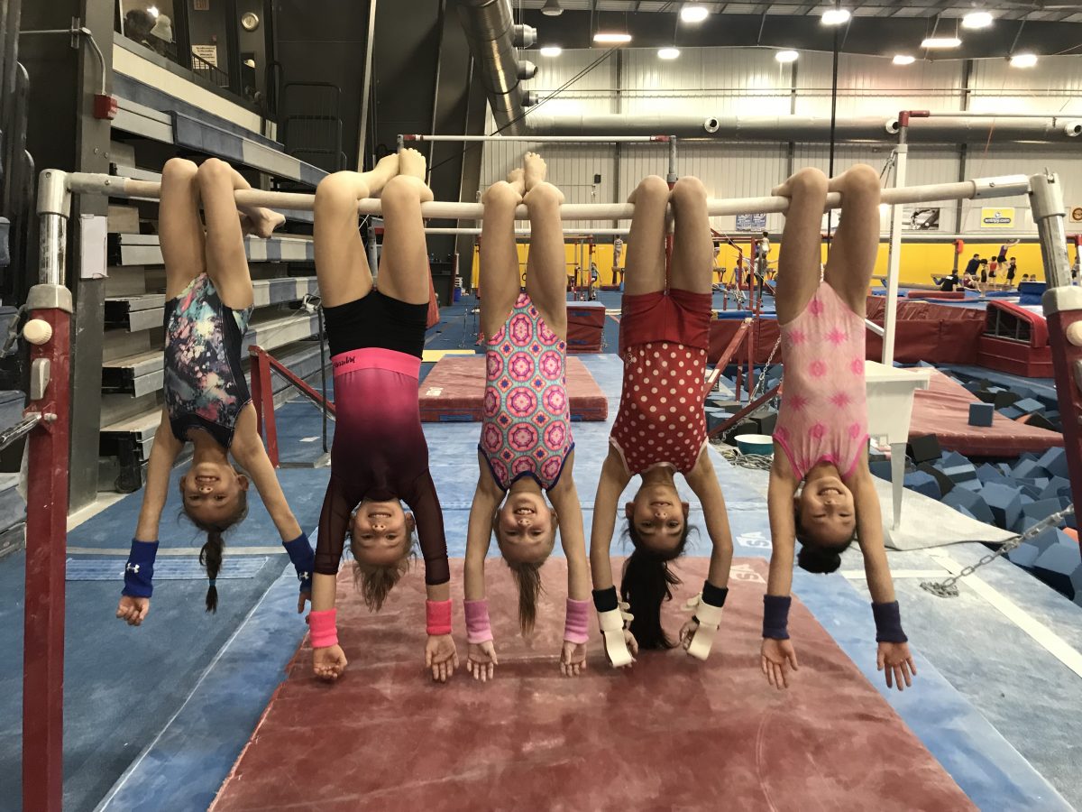 Meet the Pre-Comp 3's - Oakville Gymnastics